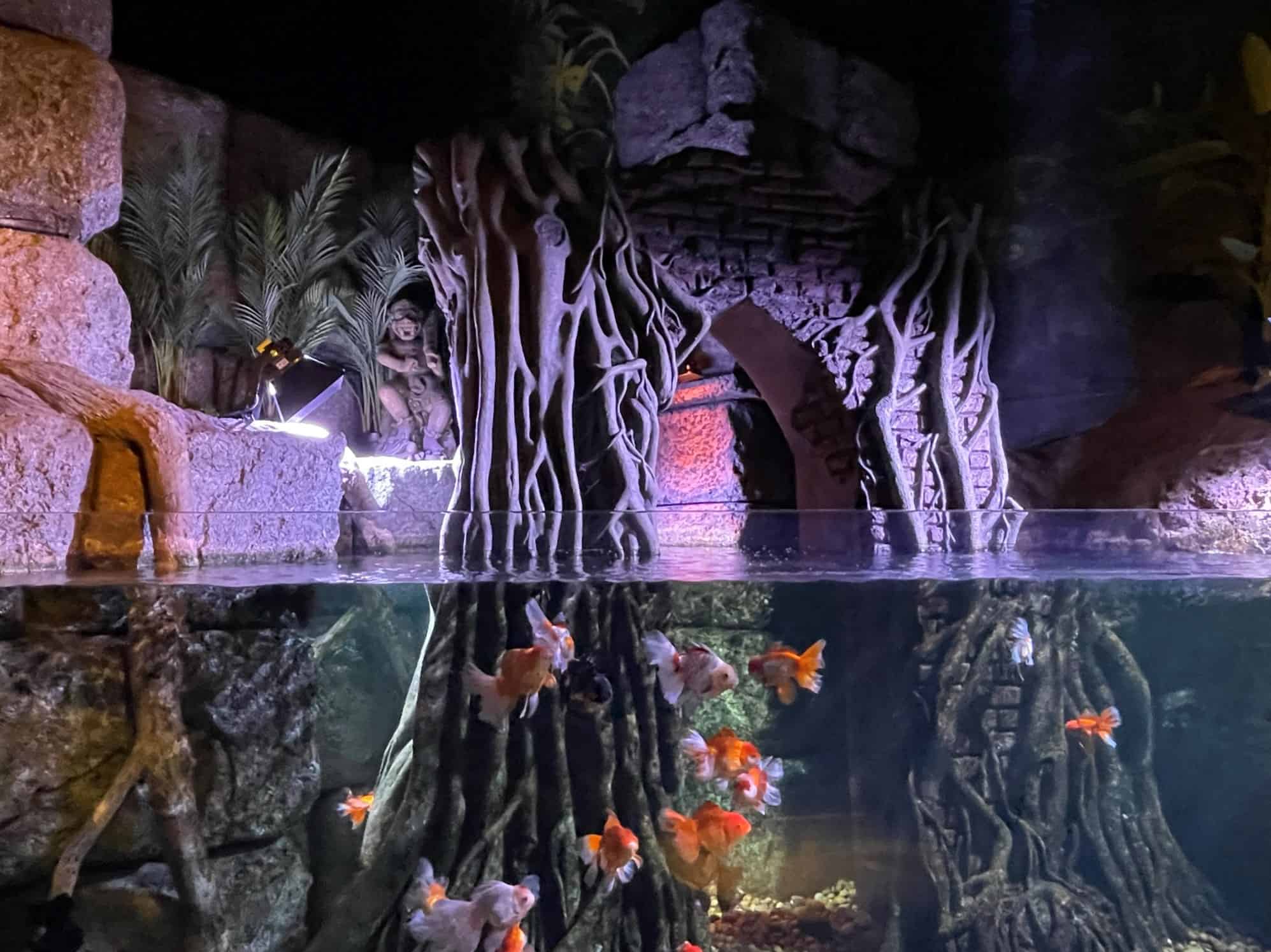 SEA LIFE Bangkok Ocean World - Worth Visiting?