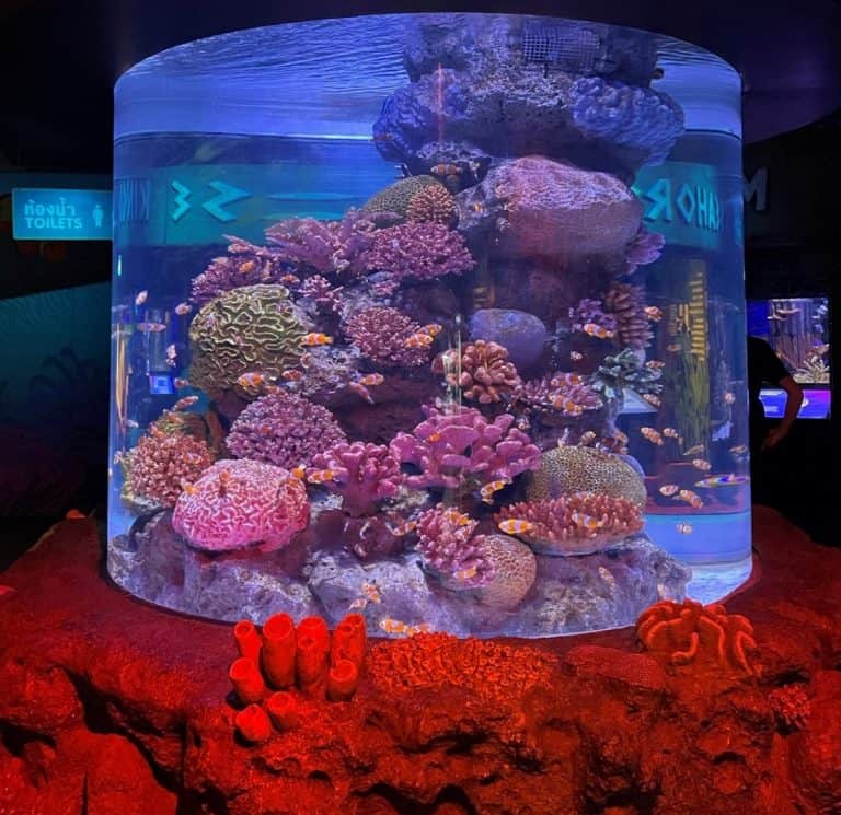 SEA LIFE Bangkok Ocean World - Worth Visiting?